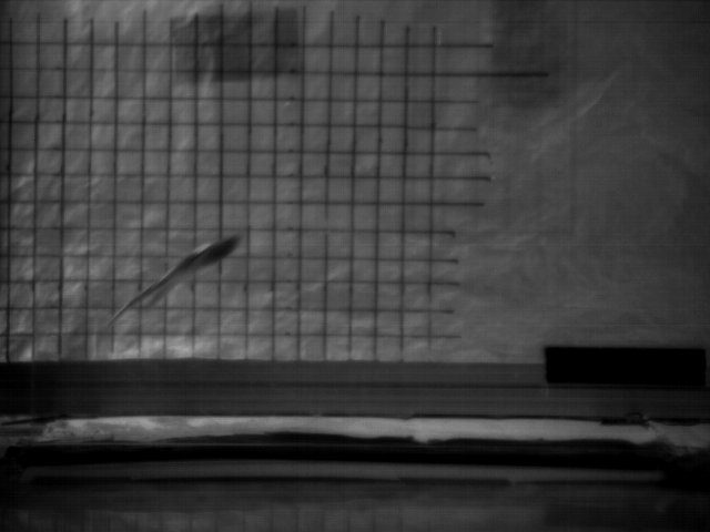 Performance Videos – Moen lab at UCR